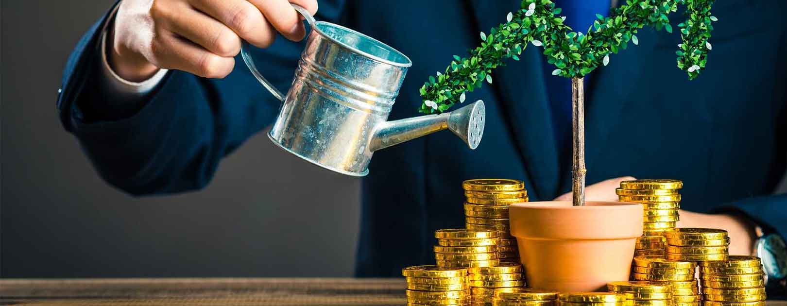 Align Wealth Management with Your Values | Impact Investment Guide for ...